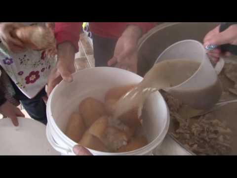 Sokak Köpekleri İçin Aşevi Açtı