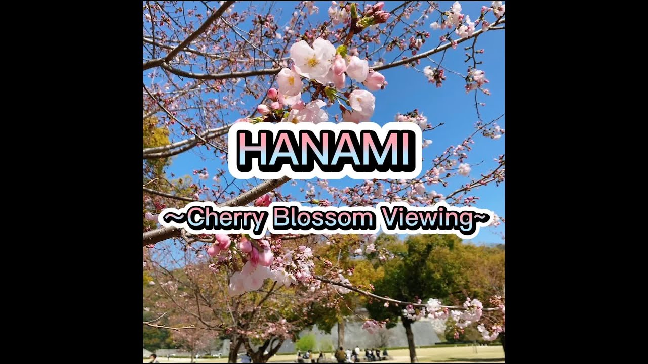 【Hanami Season in Japan】 J's English ｜ ジャスミンの英会話教室 - 松山市 - YouTube