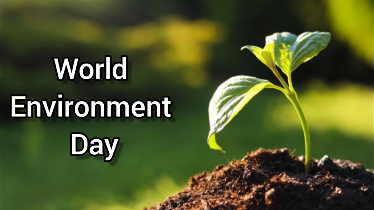 Happy World Environment Day Status Video | World Earth Environment Day ...