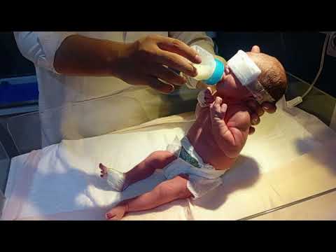 Hungry Baby Crying – How to Give Bottle Feeding Safely