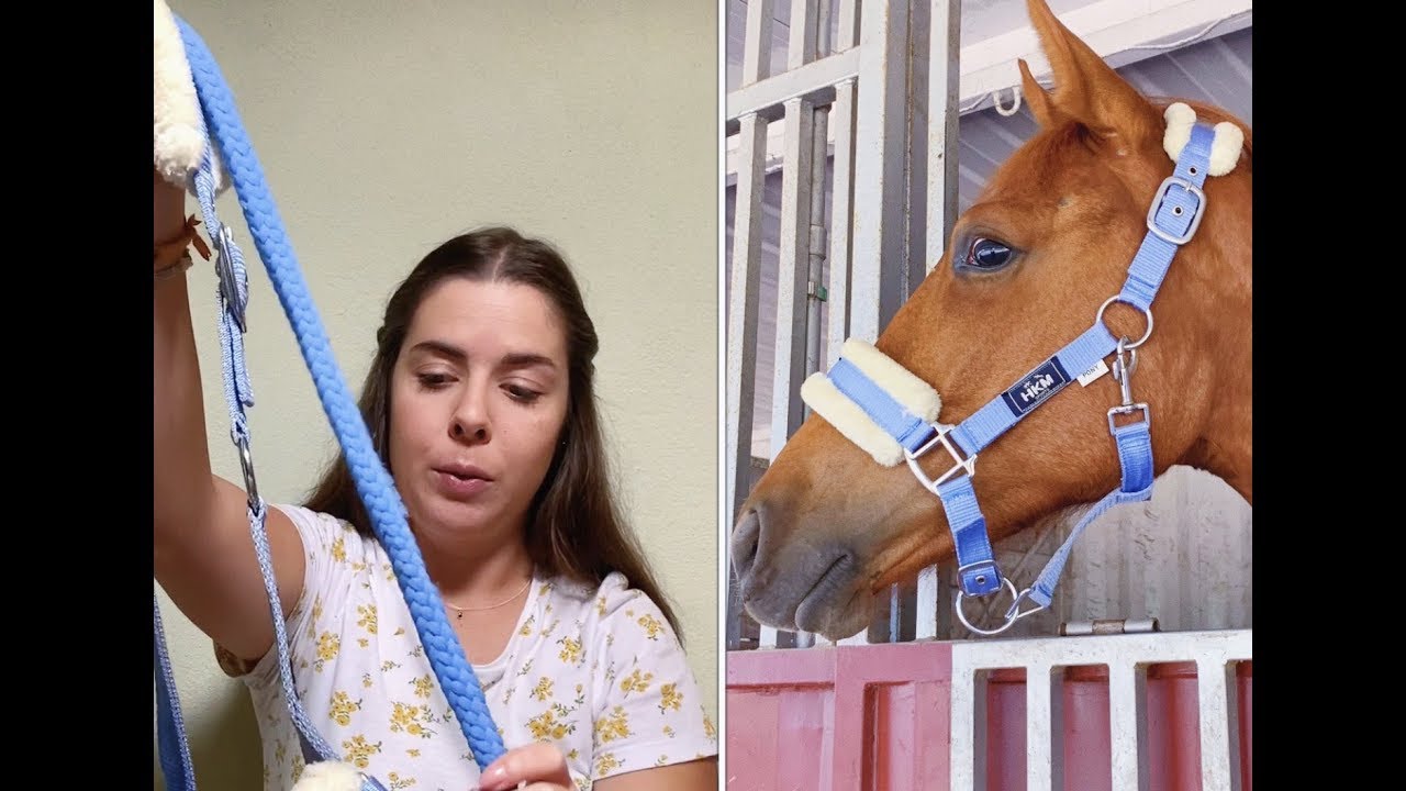 Haul Atlanta´s Equi Shop - YouTube