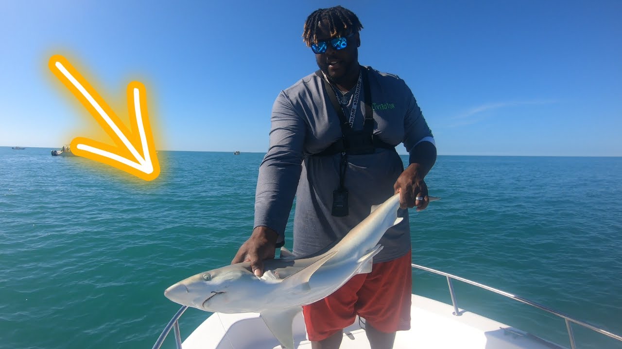 Catching Massive Jacks and snappers simple and easy with LIVE SHRIMP ...