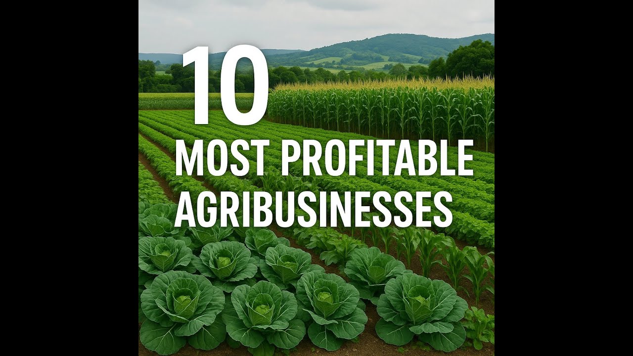 10 Most Profitable Agribusinesses to Start in 2025 | Vinmak Farms - YouTube