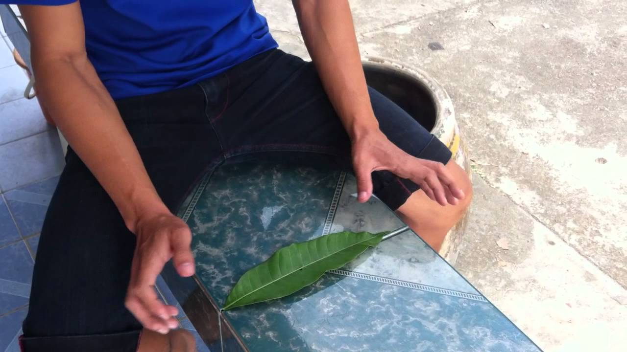 How to make a mango leaf fan.MOV - YouTube