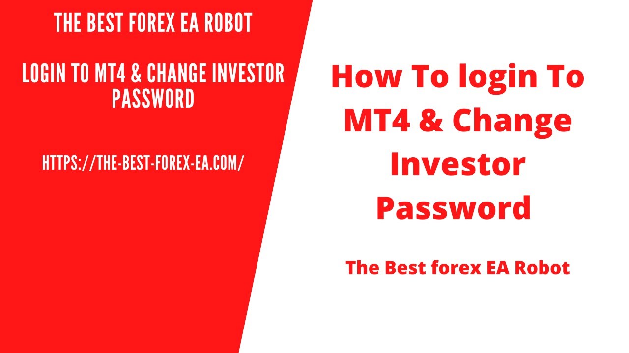 Create Investor Password For MT4 | The Best Forex EA - YouTube