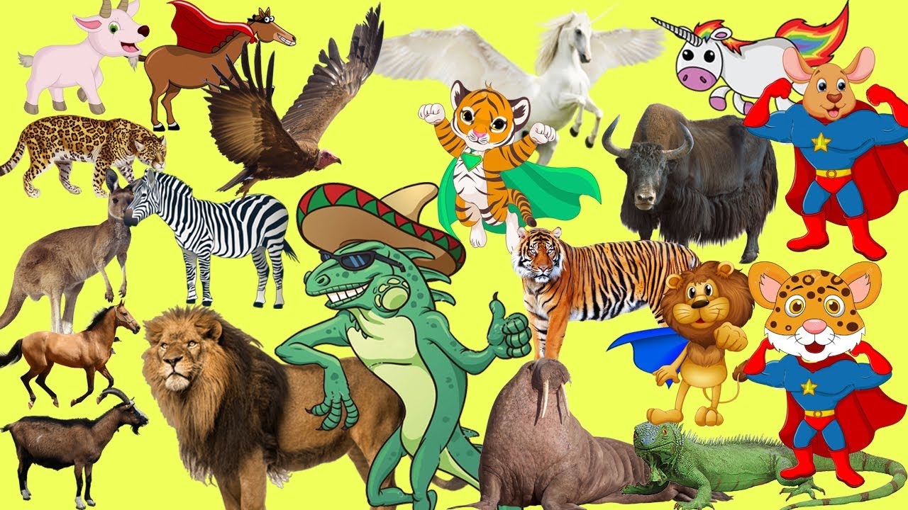 Learn Alphabet with Cartoon & Real Animals for children | ABC Wild ...