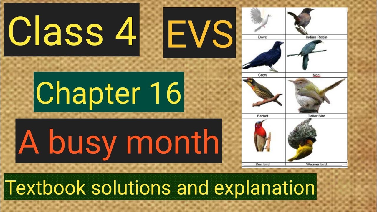 #studytime Class 4/EVS/Chapter 16/A busy month/Textbook solutions and ...