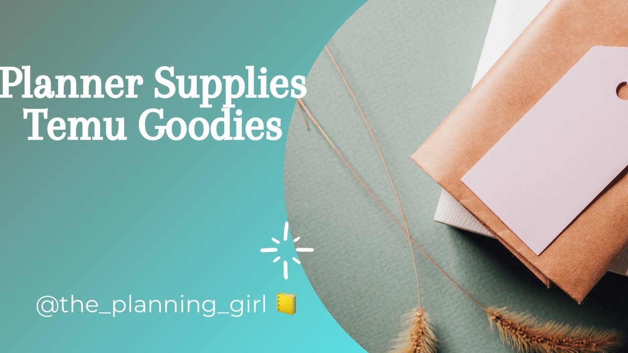 Planner Supplies and Temu Haul! - YouTube