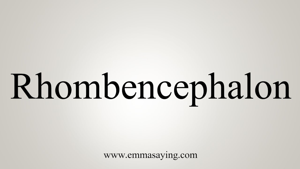 How To Say Rhombencephalon - YouTube