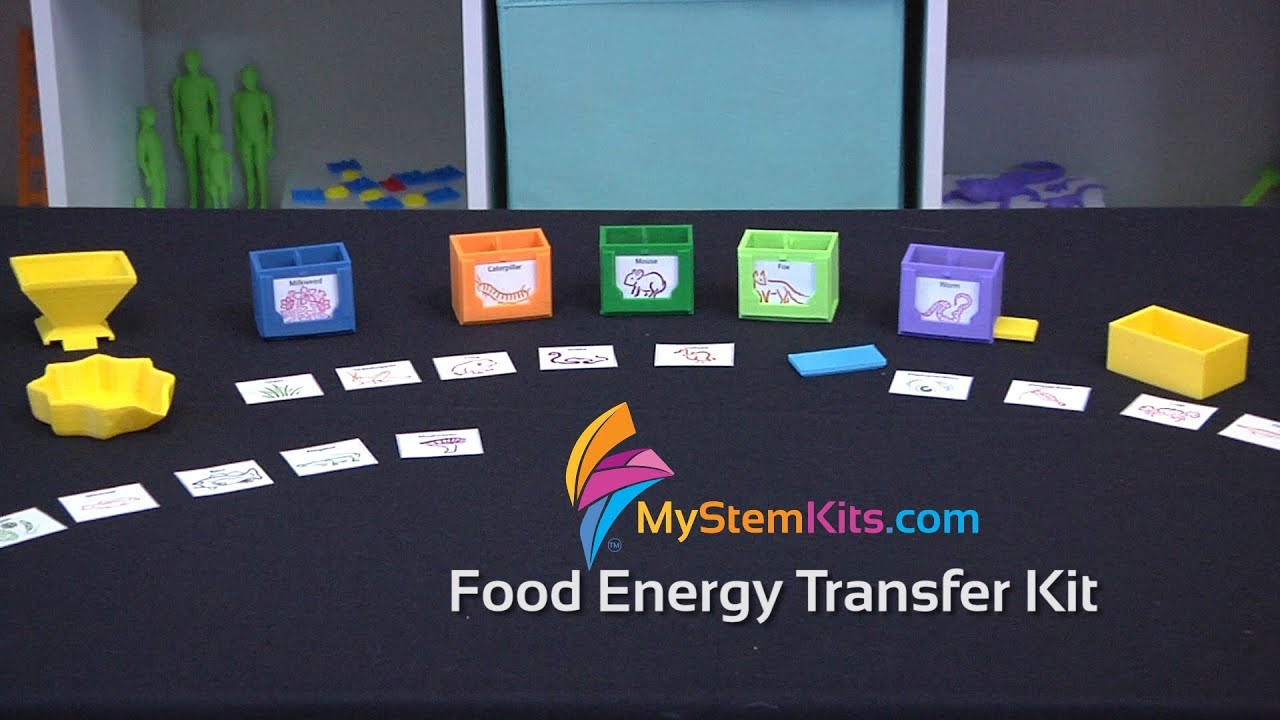 Food Energy Transfer Kit - YouTube