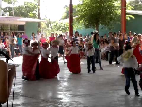 EL TORO MAMBO.mp4 - YouTube