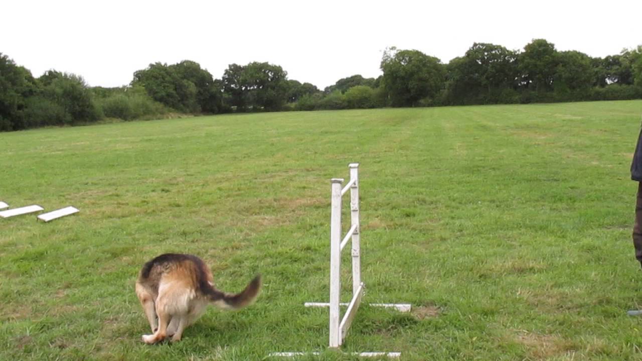 Working Trials 3 foot Clear Jump. - YouTube