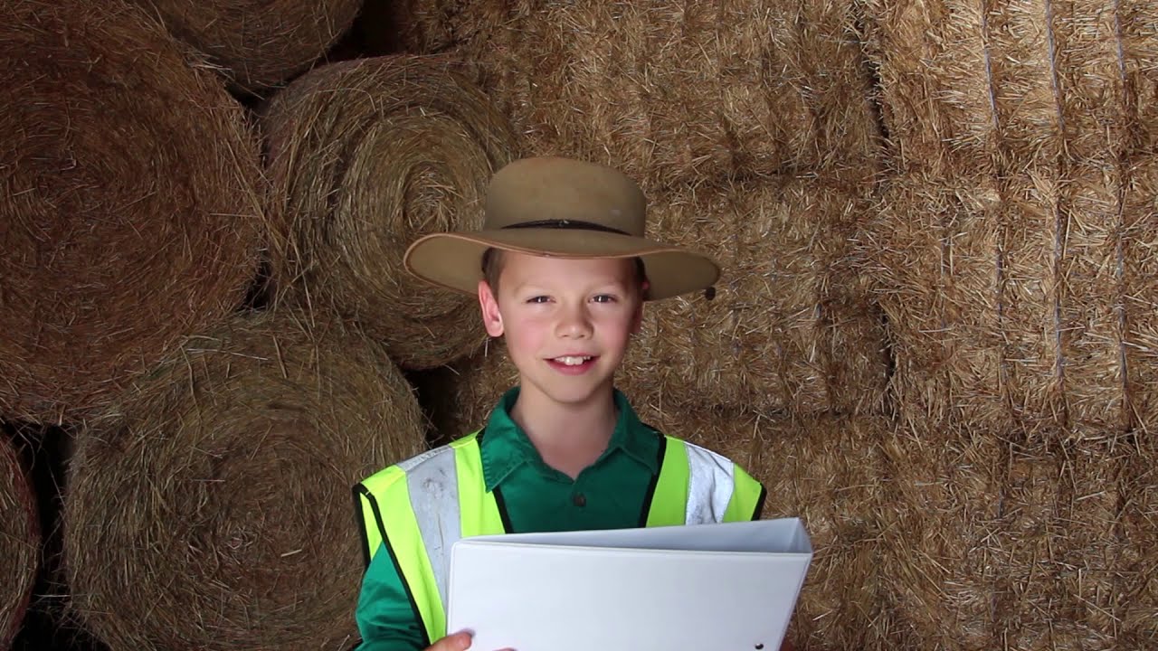 Hay Safe Day 2020 - YouTube