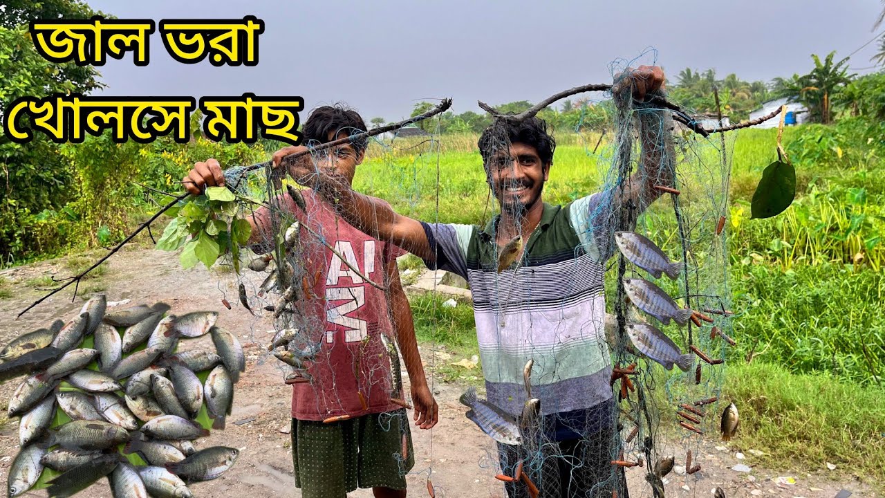 জাল ফেলতেই খোলসে ভরা, মজার দৃশ্য মন ভরা। Net fishing khalse fish - YouTube