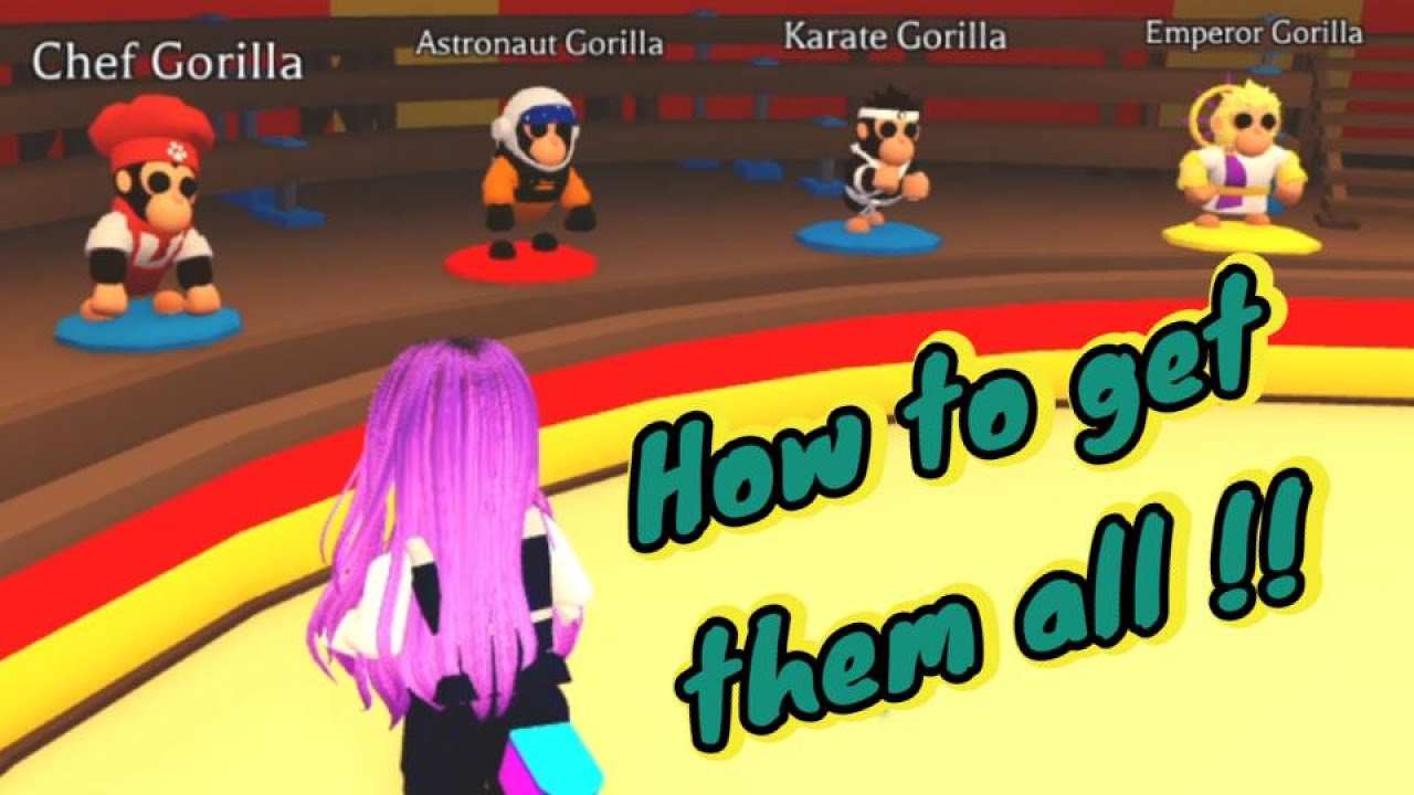 2023 How To Get All The Gorillas - Adopt me Gorilla Apdate - YouTube