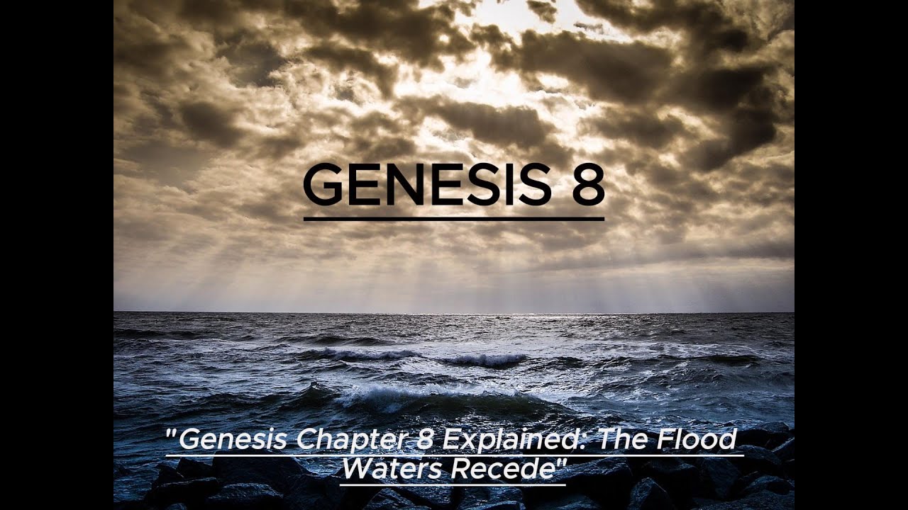 "Genesis Chapter 8: The Deluge Subsides - Noah's Journey of Renewal ...