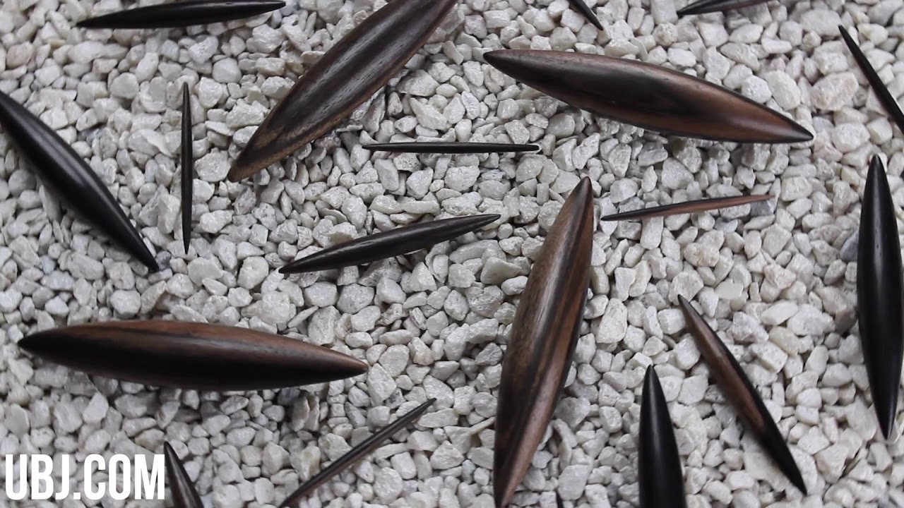 Wooden Septum Spikes (10G - 15mm) | UrbanBodyJewelry.com - YouTube