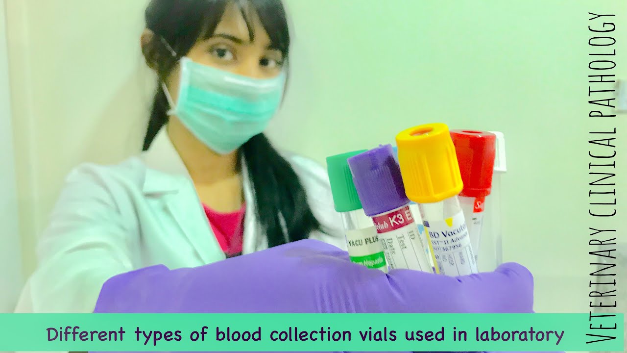 Different blood collection vials - YouTube