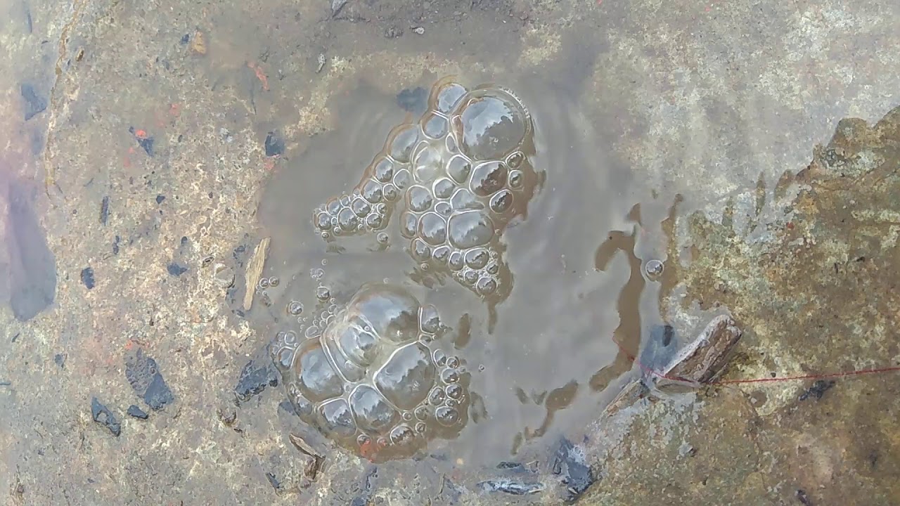 Water Bulbula from Ground of Earth - YouTube