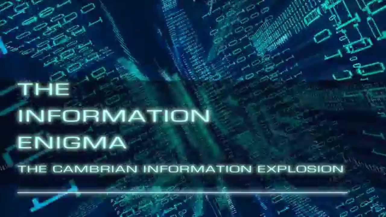 Information Enigma Trailer - YouTube