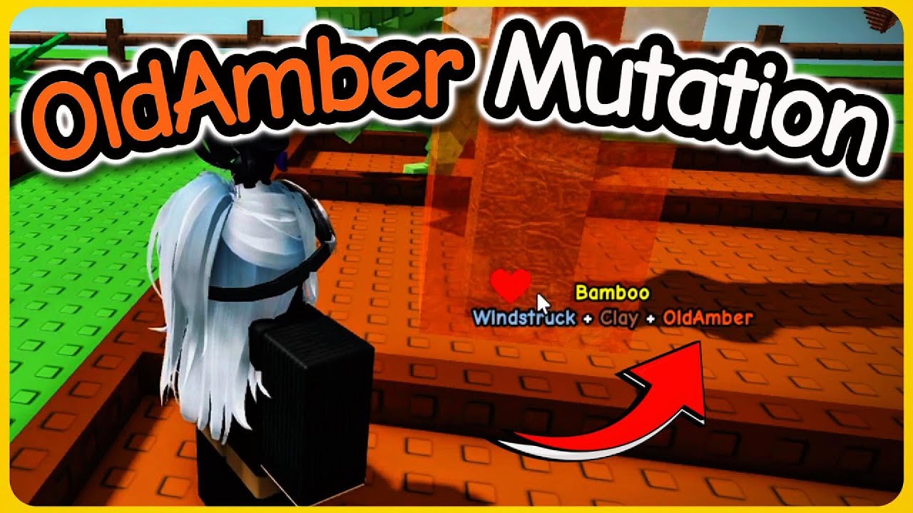 How to Get OLD AMBER Mutation in Grow a Garden (Roblox) - YouTube