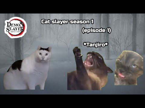 Cat slayer season 1(episode 1)|Demon slayer|Cat memes|Funny video|Anime ...