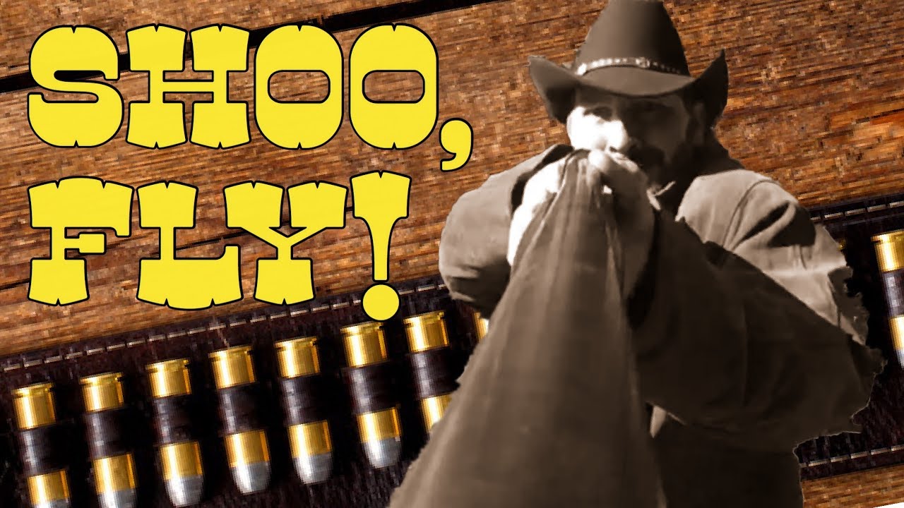 How To: Shoot A Fly With A Shotgun - YouTube