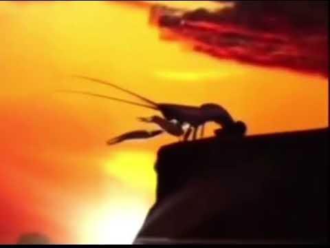 рак на горе - YouTube