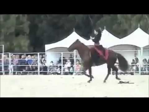 KAFKAS DANSI İLE DANS EDEN AT