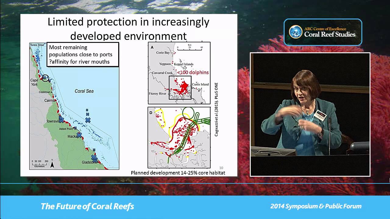 Helene Marsh - Size matters: the future of Great Barrier Reef megafauna ...