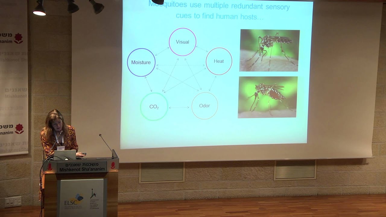 Leslie Vosshall: The genetic basis of innate behaviors - YouTube