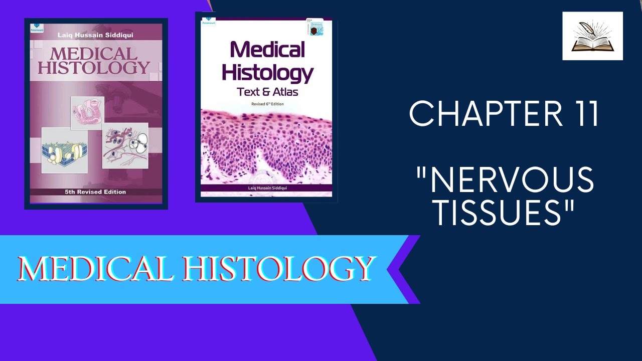 Medical Histology || Laiq Hussain Siddiqui || chapter 11 Nervous Tisuue ...