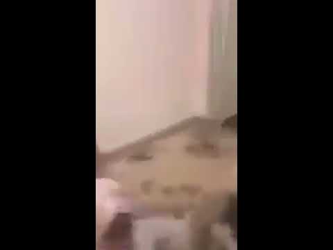 Келини хона  зино бо капидан марди Бегона!!