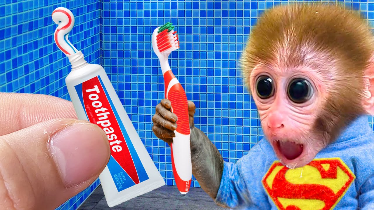 Monkey Bi Bon brush teeth with daddy so funny and play with puppy in ...