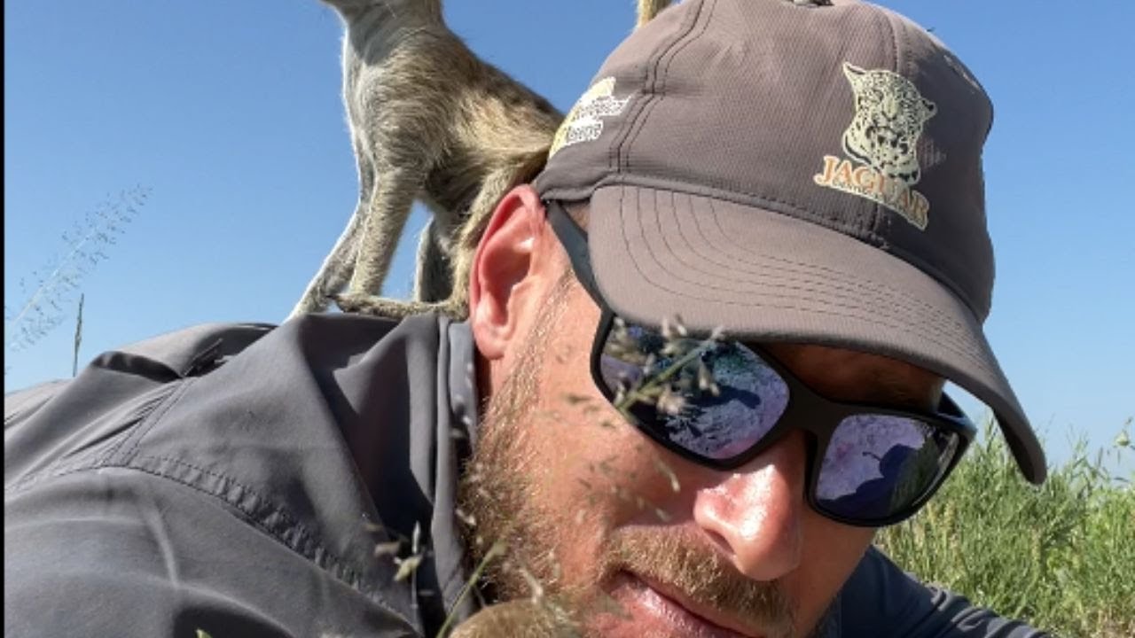 Meerkats call dibs to the wildlife photographer trying to capture their ...
