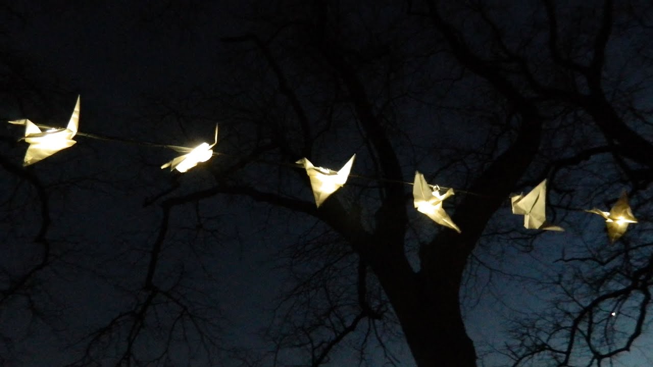 Luminous Birds at Avenham Park in Preston - magical light show - YouTube