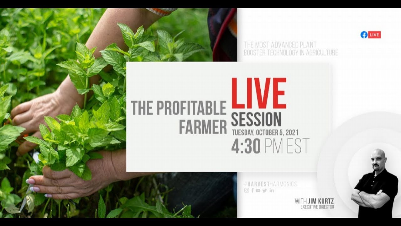 The Profitable farmer - YouTube
