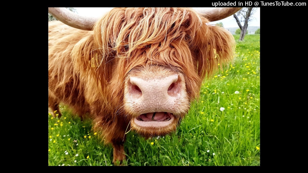 [FREE] cownb lieu / rab type beat - YouTube