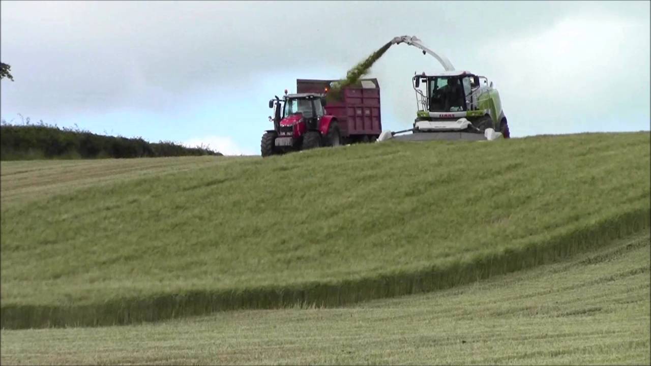 Claas 970 Forage Harvester Wholecrop at Speed - YouTube