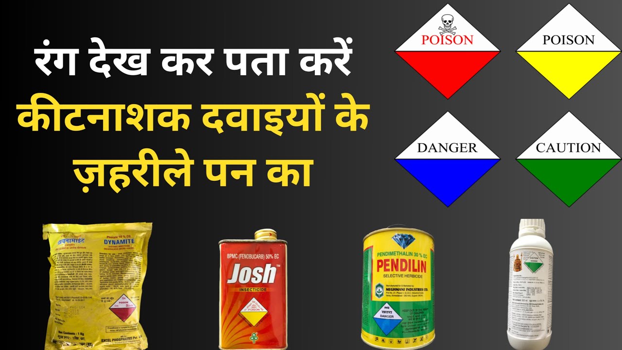 Toxicity Label on insecticides रंग देख कर पता करें कीटनाशक दवाइयों के ...