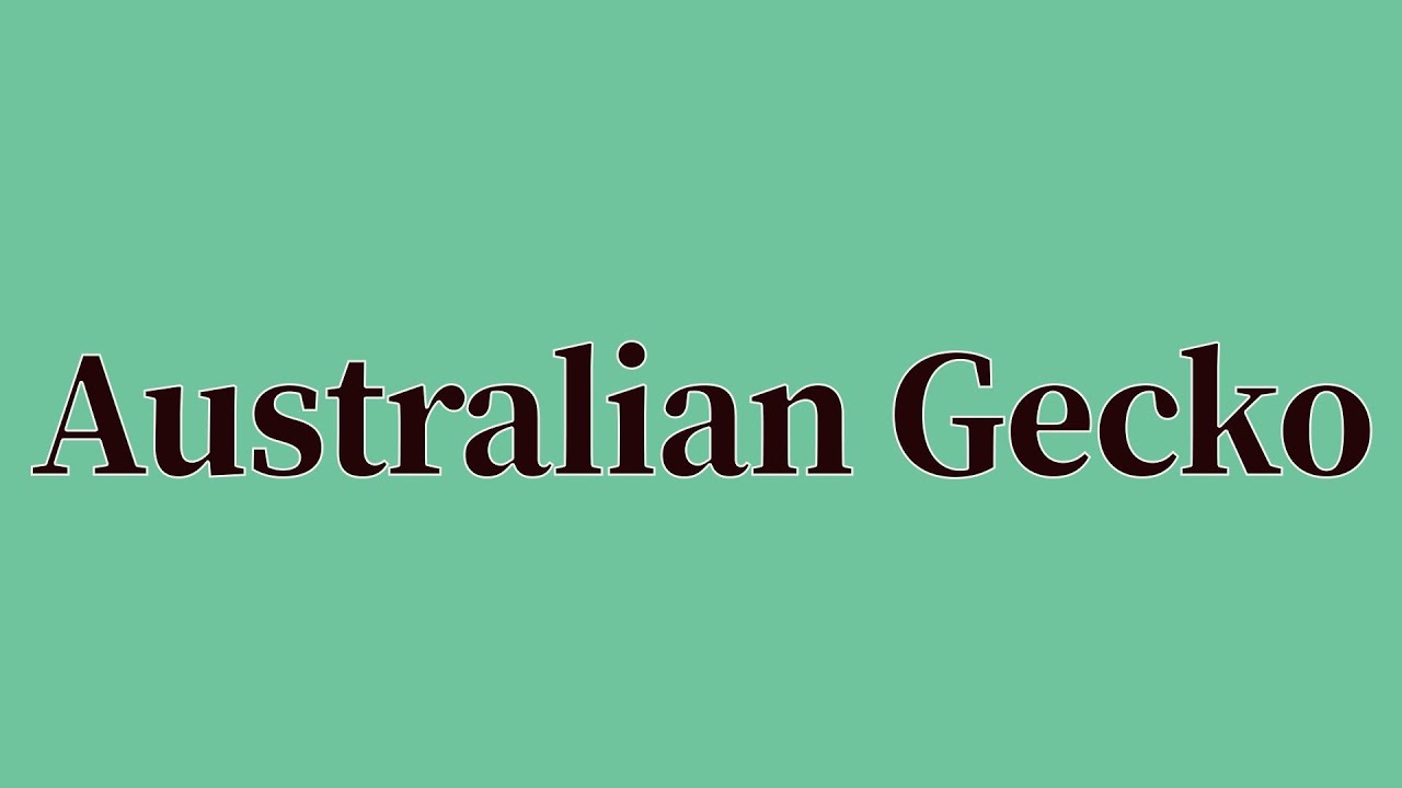 Australian Gecko Pronunciation and Meaning - YouTube