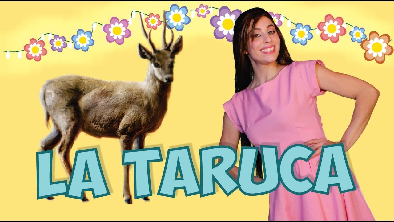 VIDEOS EDUCATIVOS PARA NIÑOS - APRENDE SOBRE LA TARUCA - ANIMALES EN ...