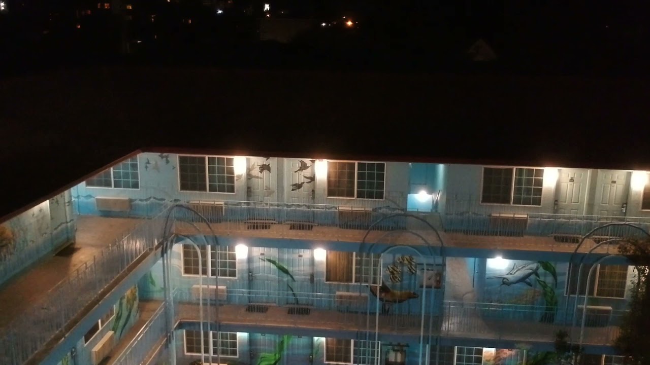 copy crawl test - YouTube