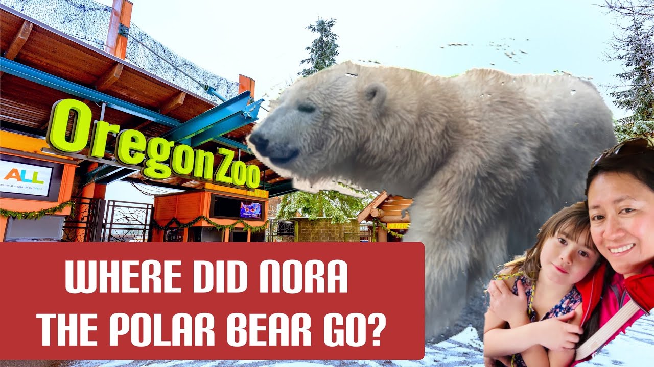 Oregon Zoo Adventure 2022|Where did Nora the Polar Bear go? - YouTube