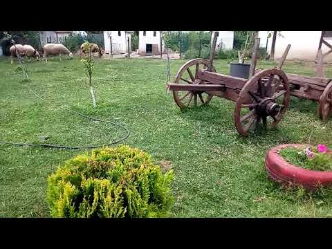 Eskiden kullanılan öküz arabası ve boyunduruk.