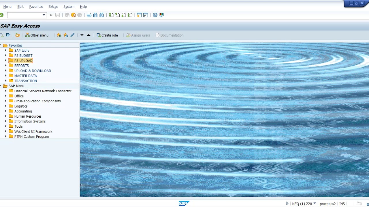 Tutorial SAP PTPN - CJ30 Budget Project - YouTube