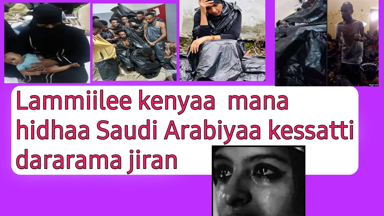 Lammille kenyaa mana hidhaa Saudi Arabiyaatti dararamaa jiraa cinaa haa dhabanuu | sof umar app ...