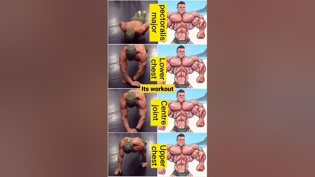 Chest Pushups Workoutbest Push Ups Workout Tips Shorts Fitness Bodybuilding Youtube
