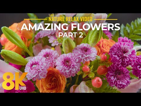 Amazing Flowers - Nazik Piyano Müziği ile 8K Ultra HD Relax Video
