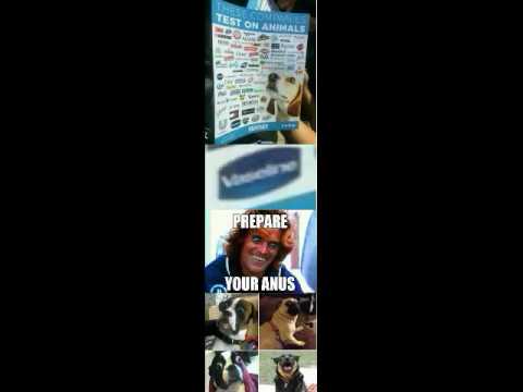 These companies test on animals meme compilation - YouTube